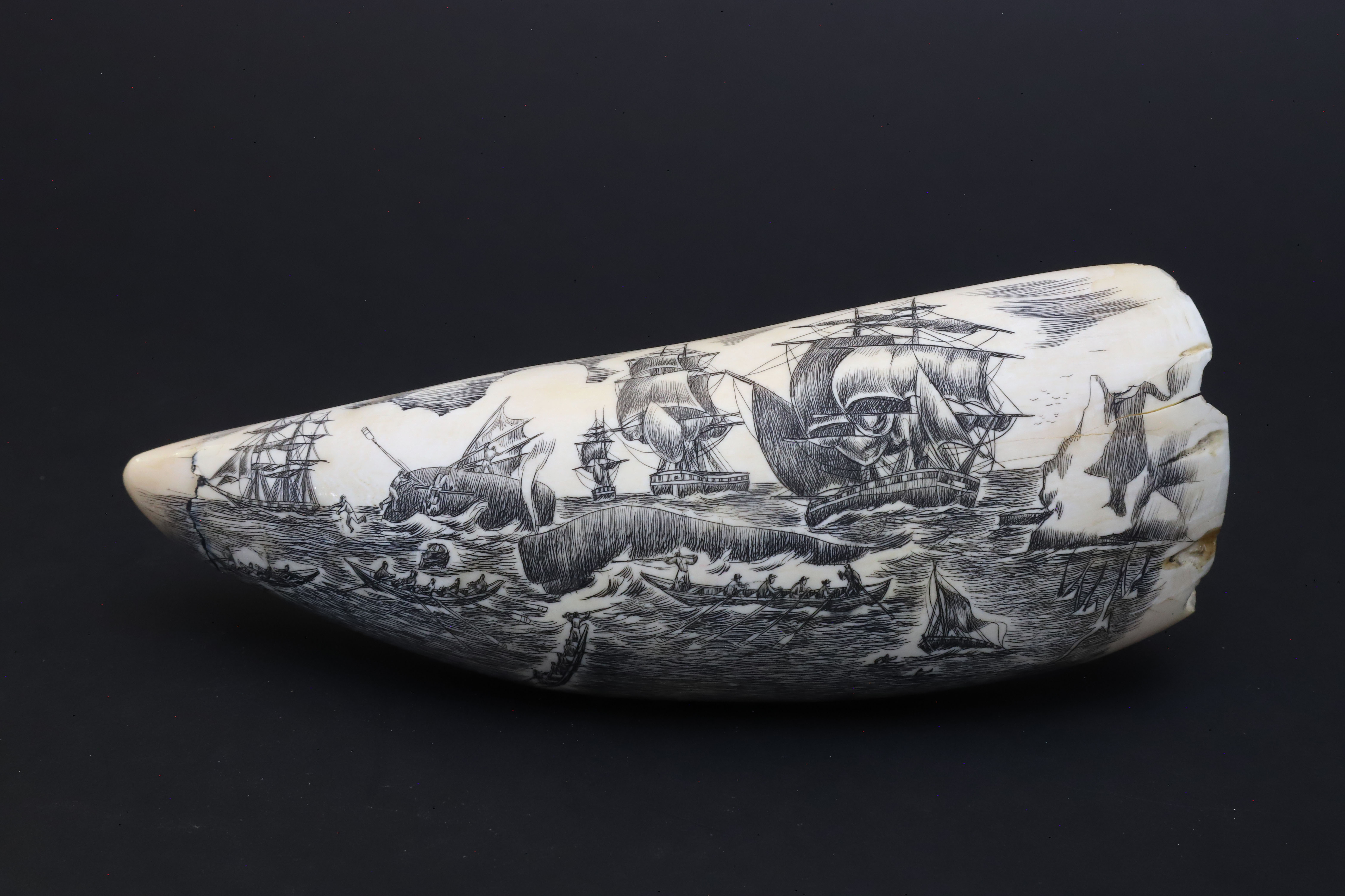 Fine Contemporary Scrimshaw Whale's Tooth Mid 20th Century - Fine ...