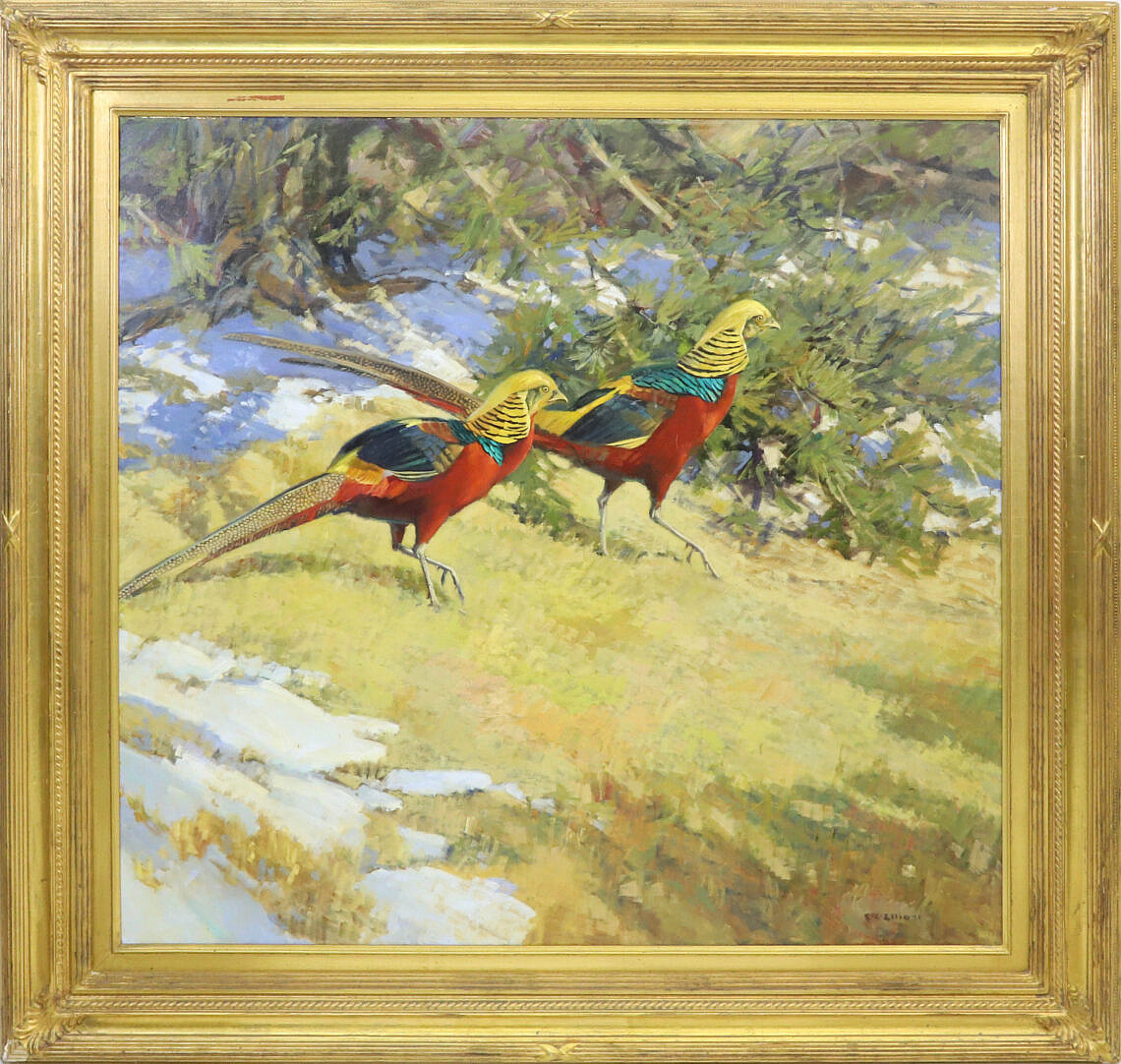 Stephen C. Elliott Oil on Board "Golden Pheasant" - Rafael Osona ...