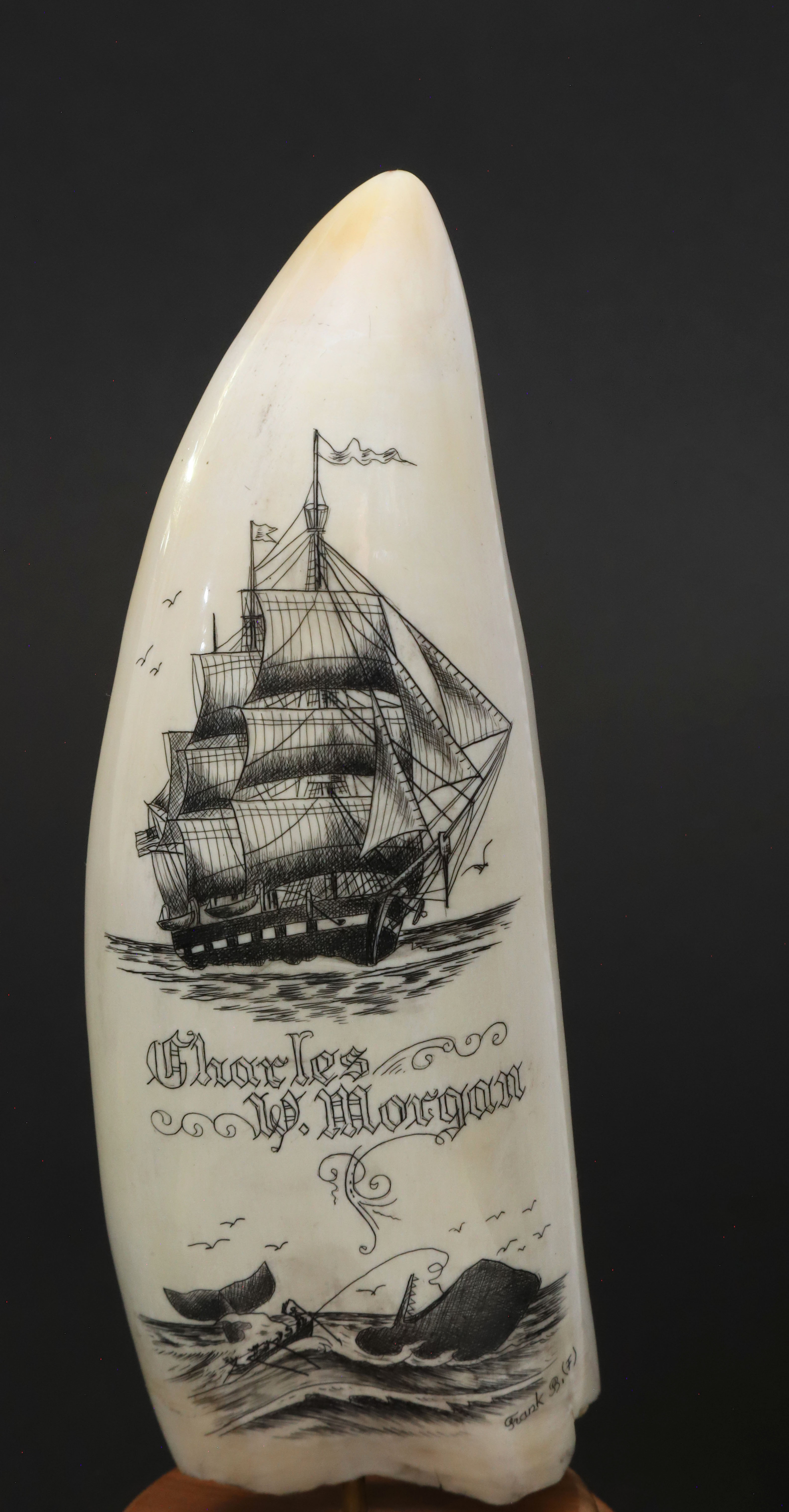 Fine Frank Barcelos Contemporary Scrimshaw Whale's Tooth Mid 20th ...