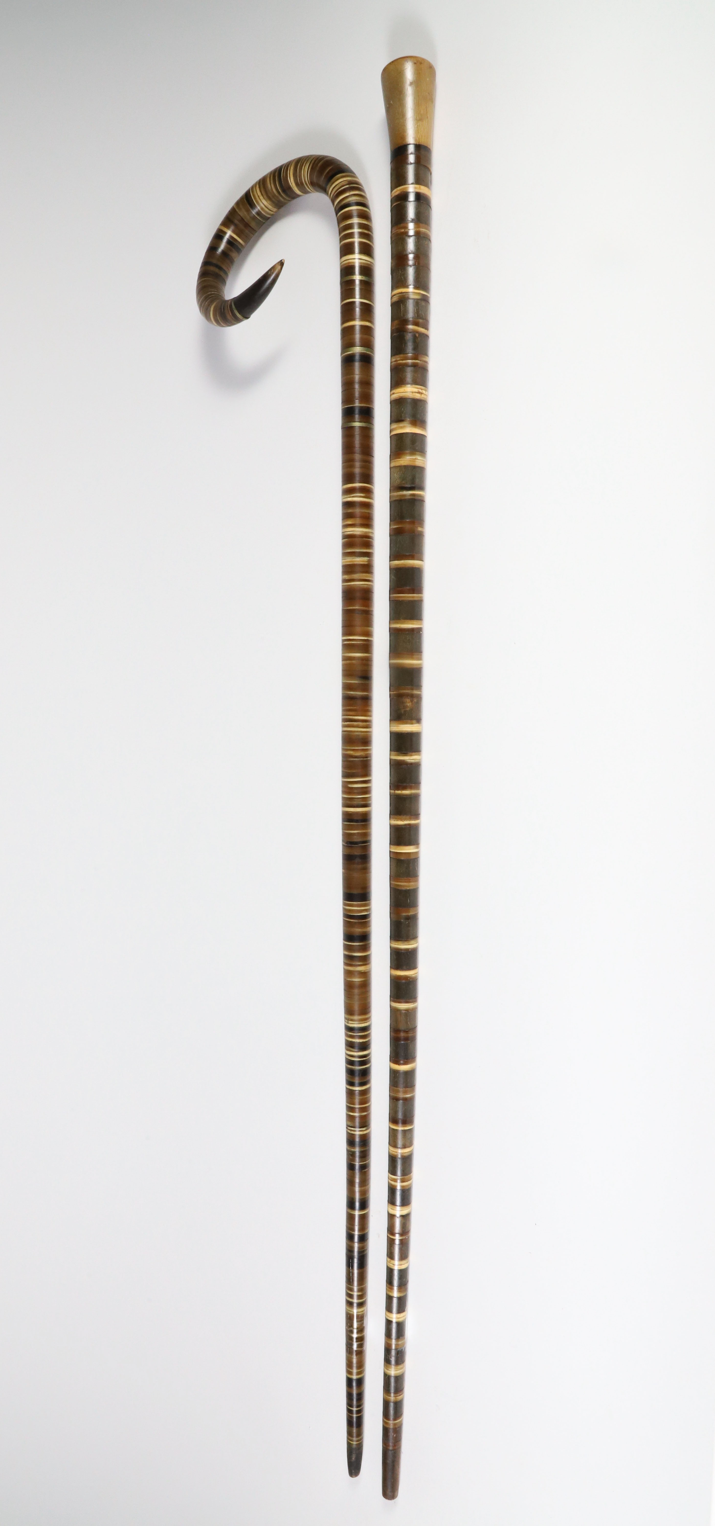 Two Carved Horn Disc Canes 19th Century - Two Carved Horn Disc Canes ...