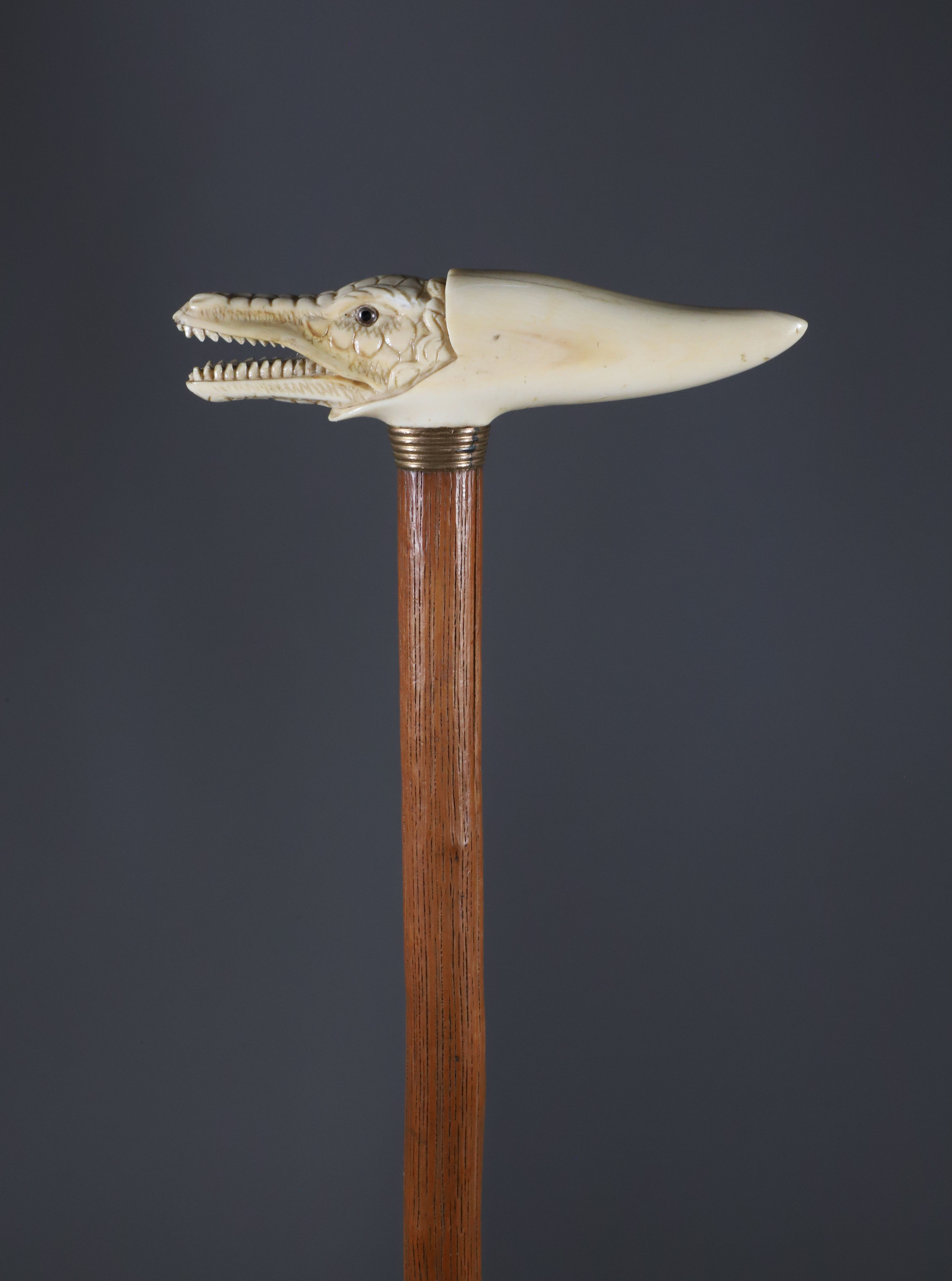 French Carved Crocodile T-Handle Grip Cane 19th Century - French Carved ...