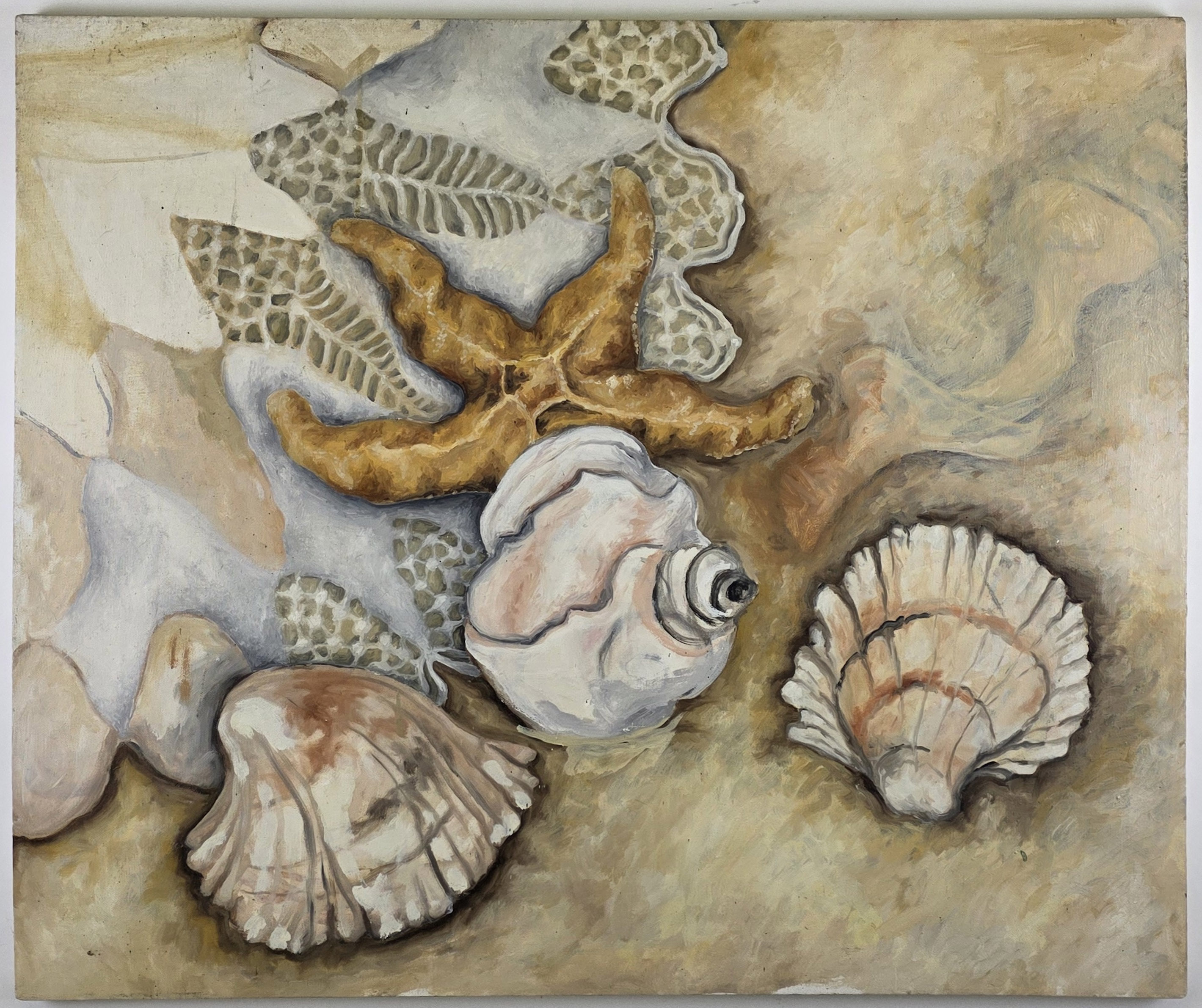 Vintage Oil on Canvas Beached Seashells Still Life Painting - Vintage ...