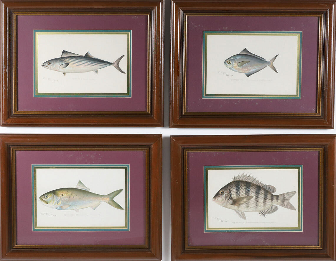 Four Matted and Framed Denton Fish Lithographs - Four Matted and Framed ...