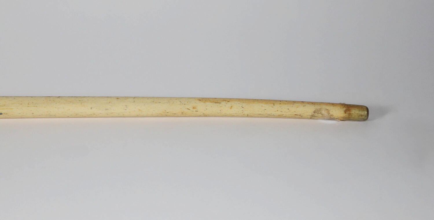 Whaler Made Smooth Grip Walking Stick 19th Century antique whale ivory ...