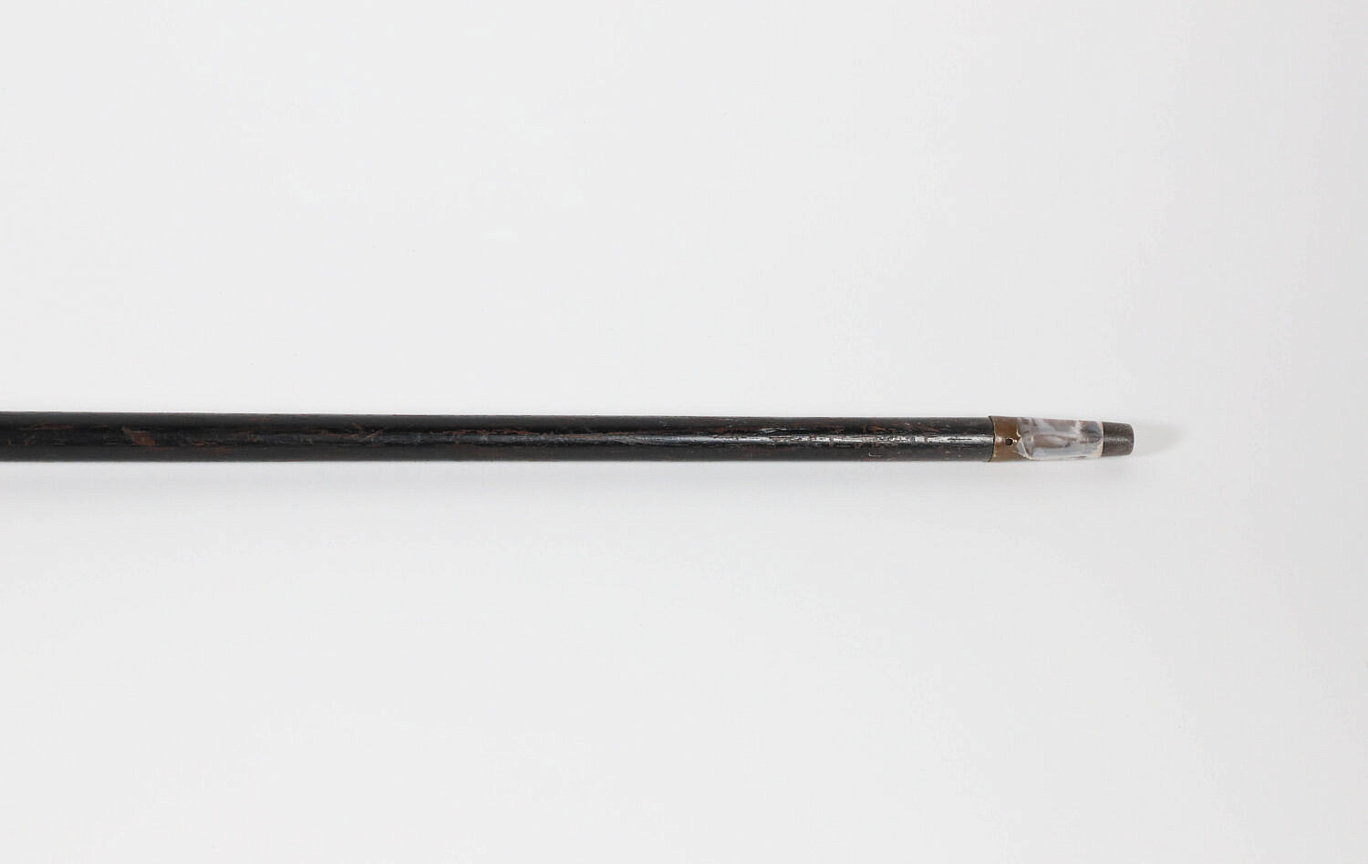 Antique Phrenology Head Walking Stick 19th Century - Antique Phrenology ...