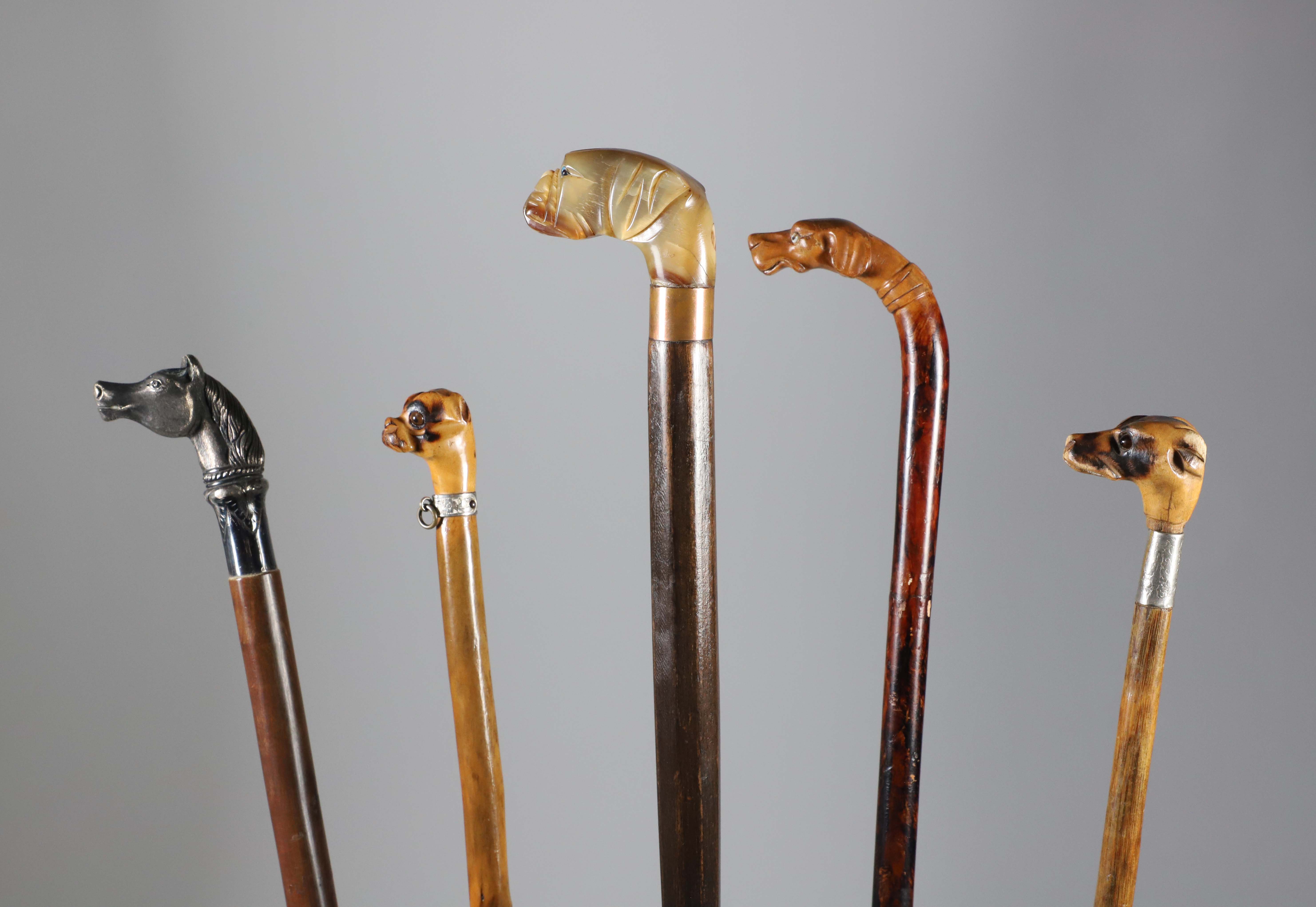 Five Diminutive Animal Head Walking Sticks 19th Century - Collection of ...
