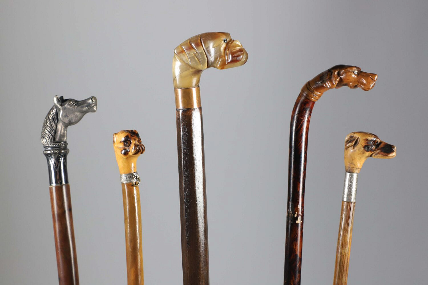 Five Diminutive Animal Head Walking Sticks 19th Century - Collection of ...