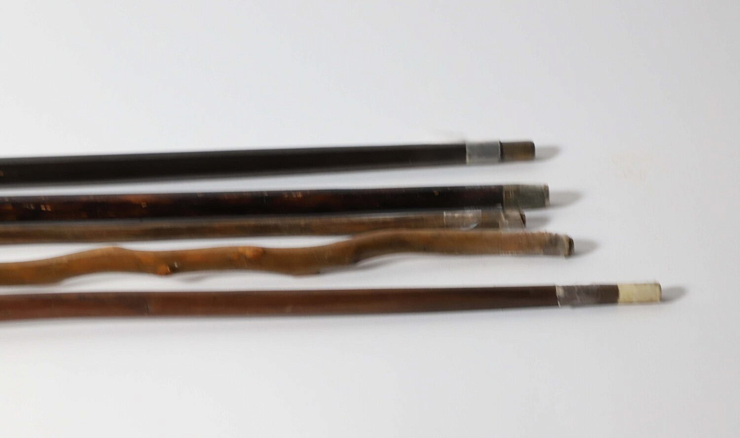 Five Diminutive Animal Head Walking Sticks 19th Century - Collection of ...