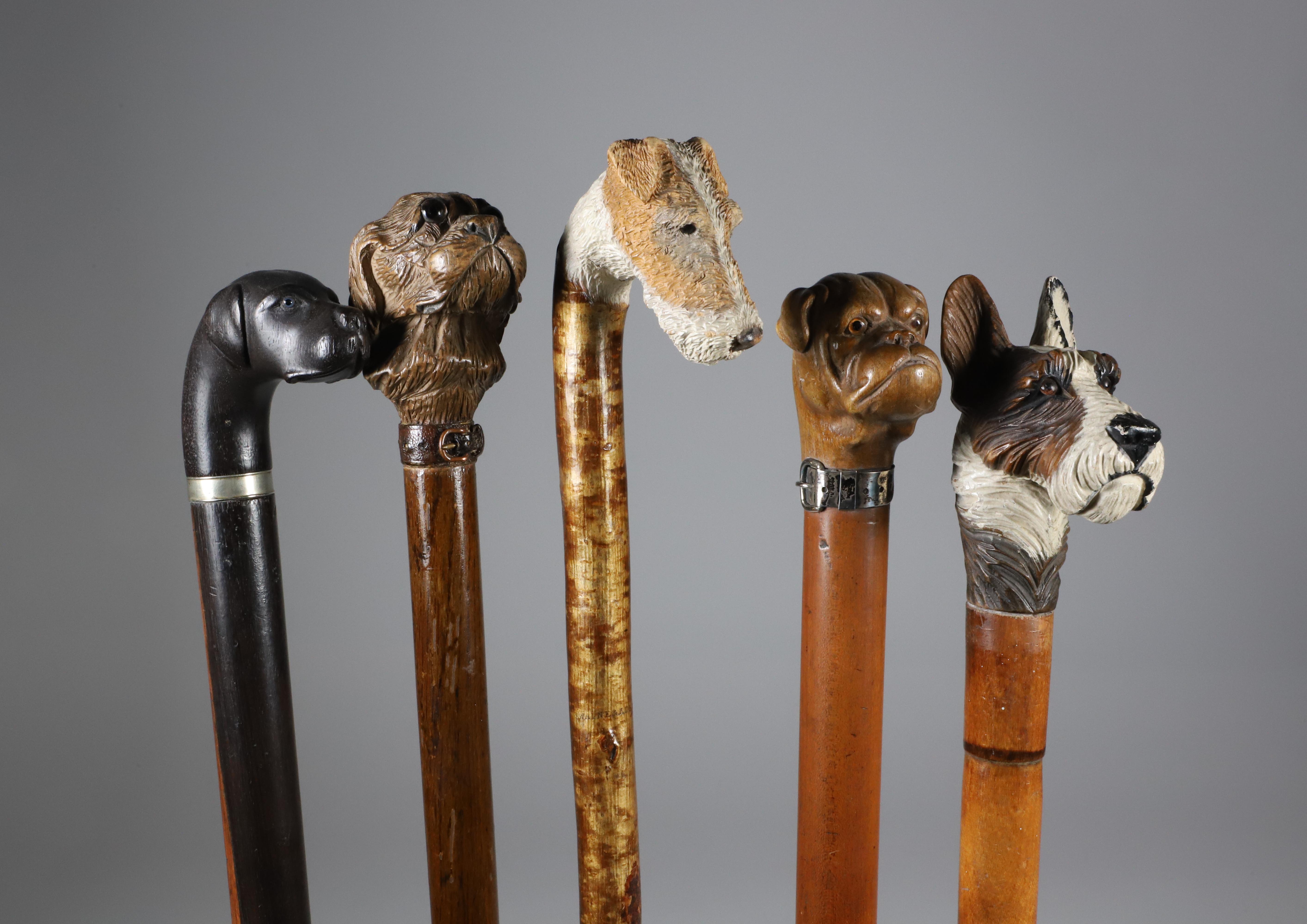 Collection of Five Carved Wood Various Dog's Heads Walking Sticks ...